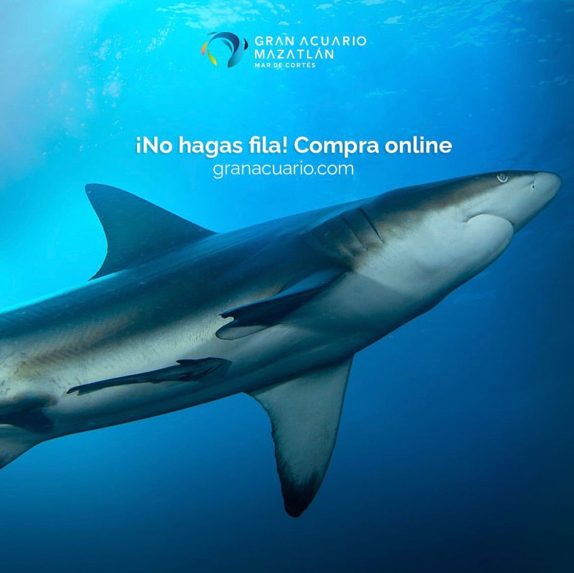 CLORIAN GROWS: NEW VENUES AND INTERNATIONAL PROJECTS – Clorian, gestión ...