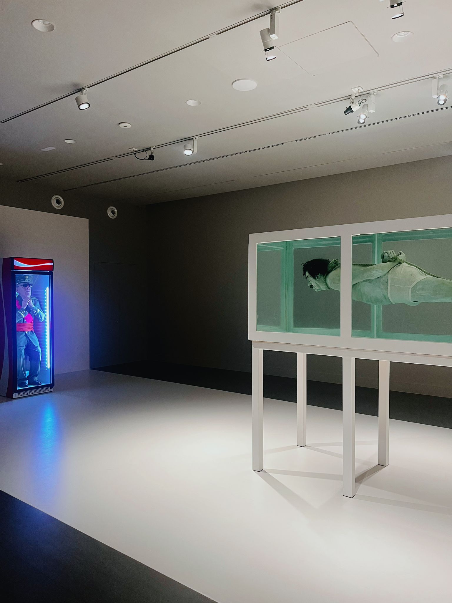 Clorian gestiona la venta de entradas del Museu de l’Art Prohibit ...